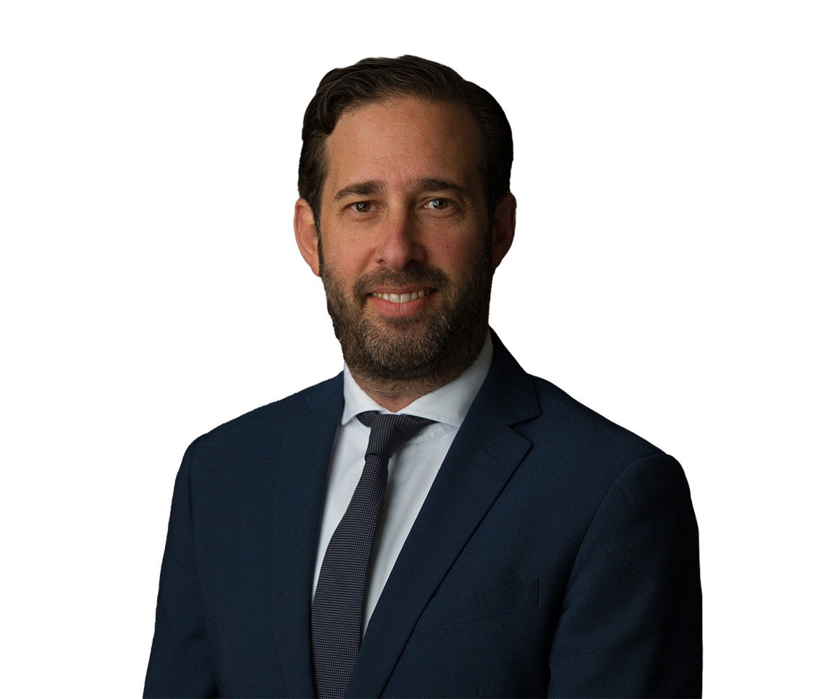 One year Dutch WHOA Scheme - Some lessons learned